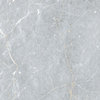 24x48 Marmo Grigio Marble Look High Glossy Wall and Floor Tile ...