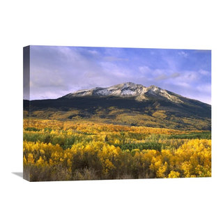 "East Beckwith Mountain And Trees, Gunnison National Forest, Colorado ...