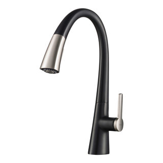 Nolen 2-Function Pull-Down 1-Handle 1-Hole Kitchen Faucet ...