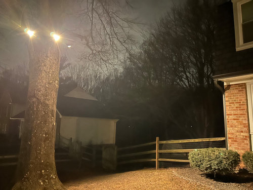 Are tree downlights too low?