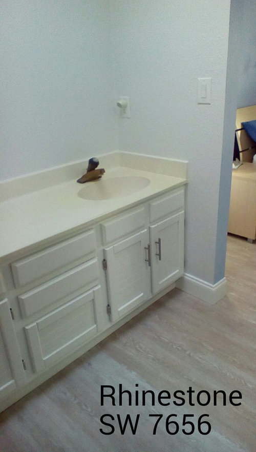 Bathroom painted Rhinestone SW 7656