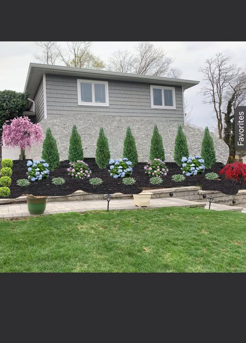 Underwhelmed by landscape plan