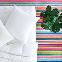 Bright Stripe Indoor/Outdoor Rug, 2'x3' - Contemporary - Outdoor Rugs ...