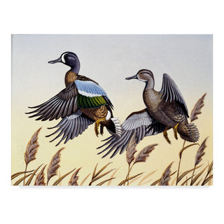 Wilhelm Goebel 'Blue Winged Teal' Canvas Art, 19"x14" - Rustic - Prints ...