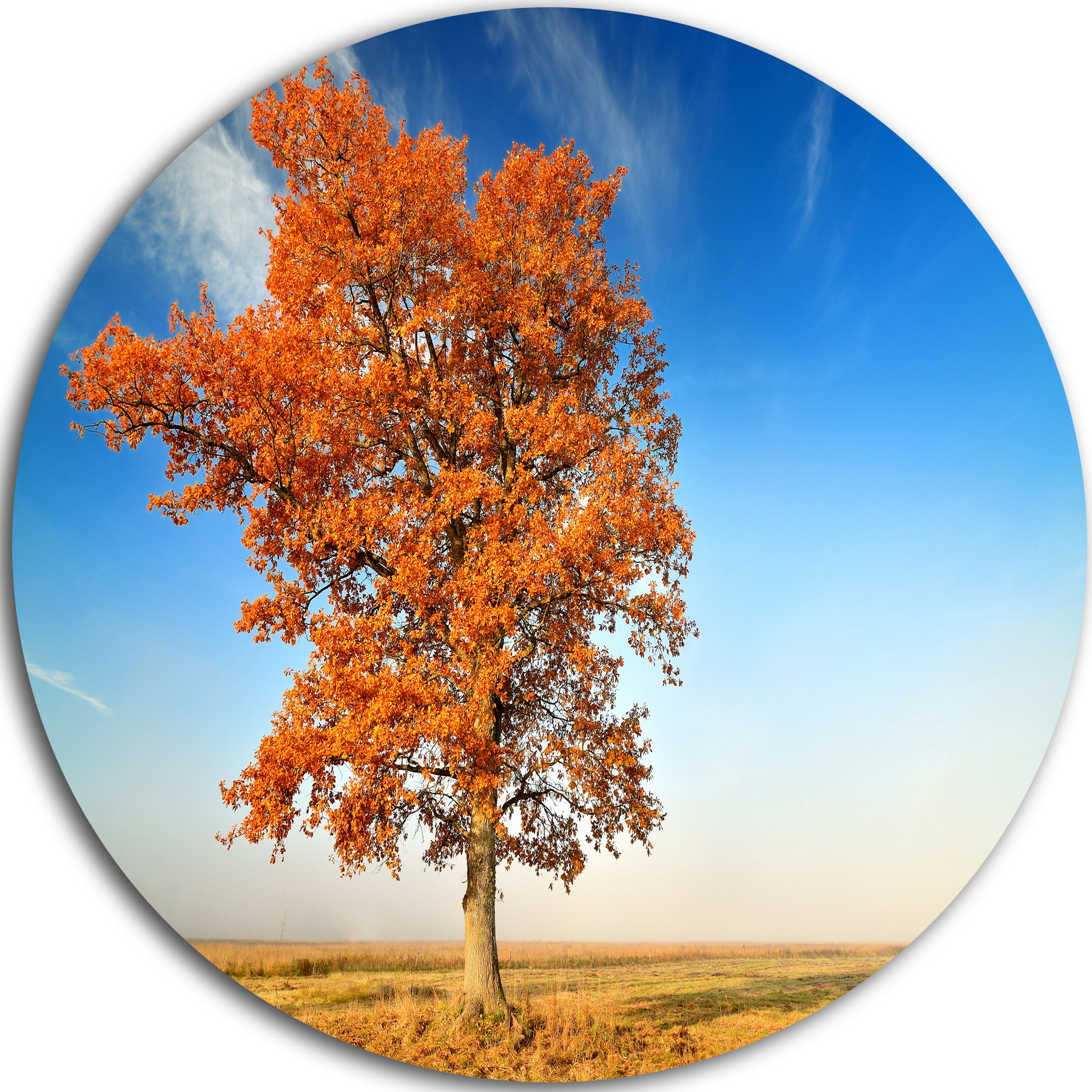 Colorful Lonely Fall Tree, Landscape Photo Round Wall Art, Disc of 11 ...