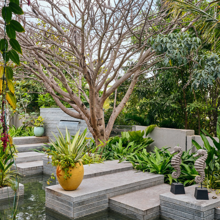 75 Beautiful Tropical Garden Ideas & Designs - December 2023 | Houzz AU