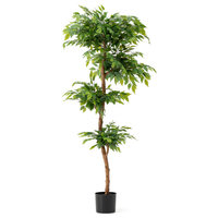 5' Creative Shaped Faux Ficus Tree in Pot - Traditional - Artificial ...