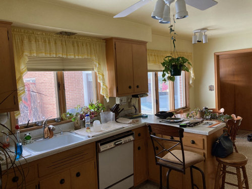 Updating 1963 Kitchen: what would you do?