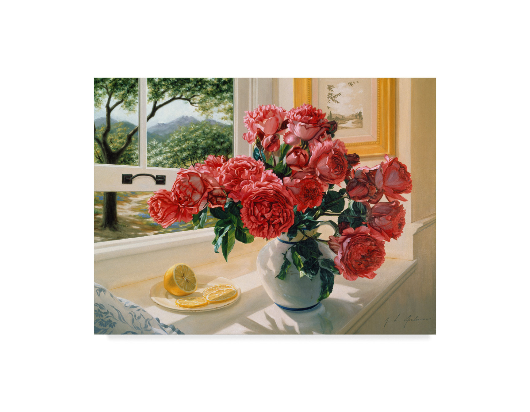 Robin Anderson 'Hot Pink Roses' Canvas Art, 19"x14" - Farmhouse ...