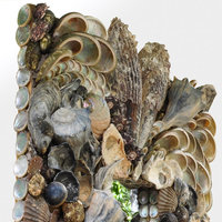 Large Pen Abalone SeaShell Mirror. Only one. - Beach Style - Wall ...