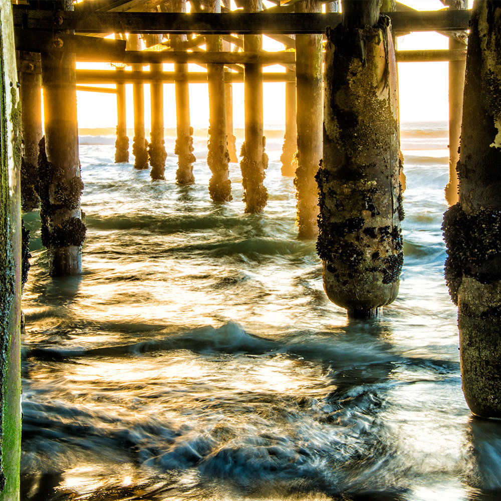 "Power of the Pier", 45" x 45" - Beach Style - Prints And Posters - by ...