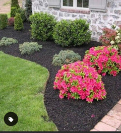 Can anyone help me with landscaping mock-up or advice?