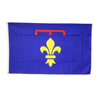 Provence, 3'x5' Polyester Flag - Traditional - Flags And Flagpoles - by ...