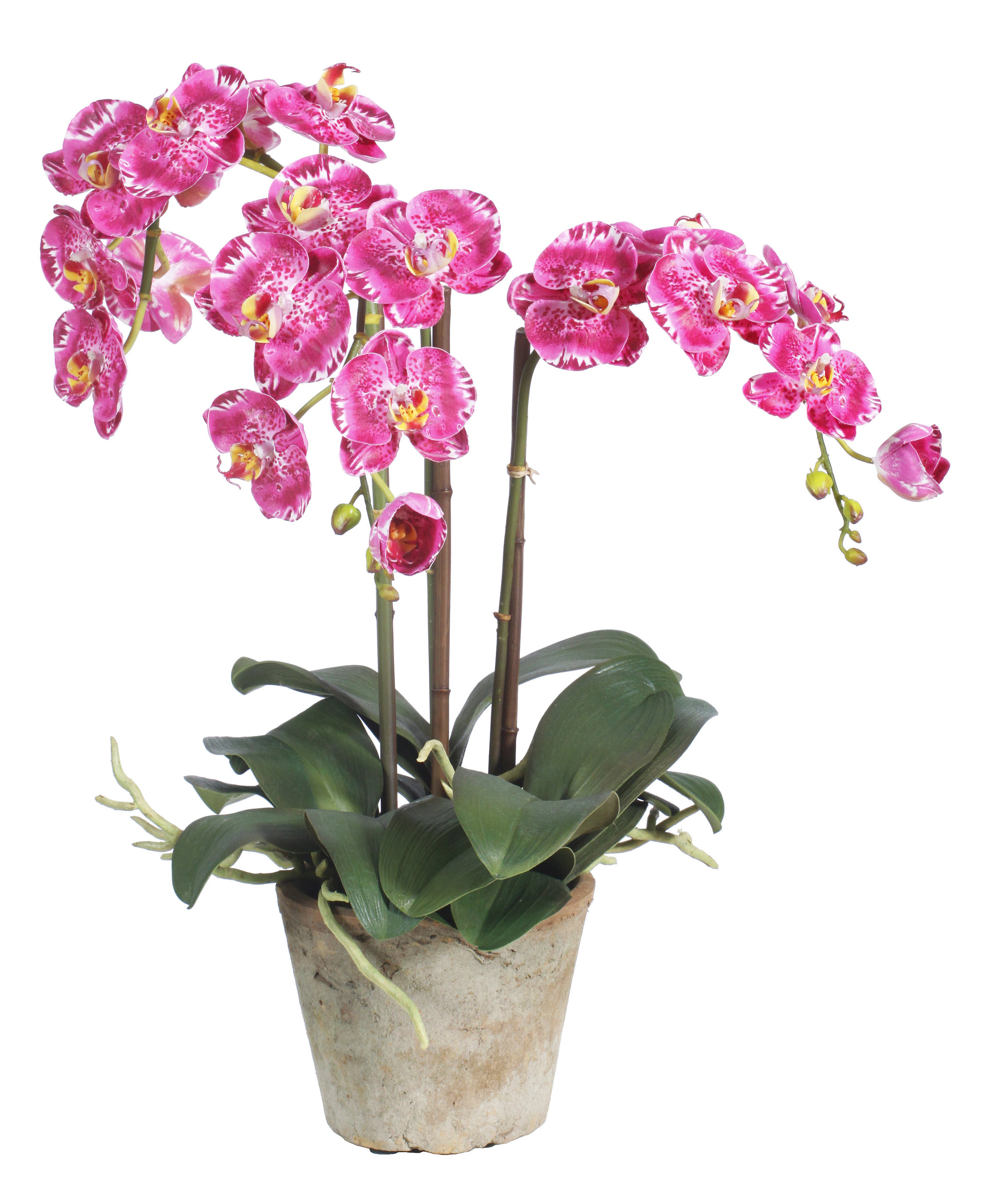 Spotted Potted Faux Orchid, Pink - Contemporary - Artificial Flower ...