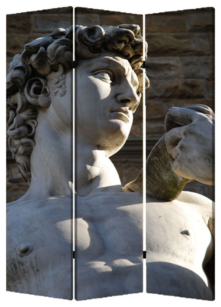 Screen Gems Rome Screen Sg-145 - Contemporary - Screens And Room ...