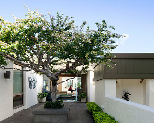 Courtyard House Trees