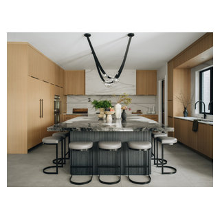 Glen Heights Grandeur - Contemporary - Kitchen - Chicago - by DGI ...