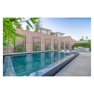 Raised Rim Flow Plunge Pool - Piscine - Las Vegas - par Watters ...