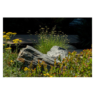 Accent Boulder Surrounded by Planting in the Botanical Garden Delight ...