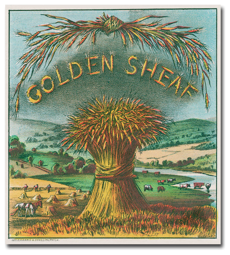 'Golden Sheaf Cigar Label' Canvas Art, 18" x 18" - Traditional - Prints ...