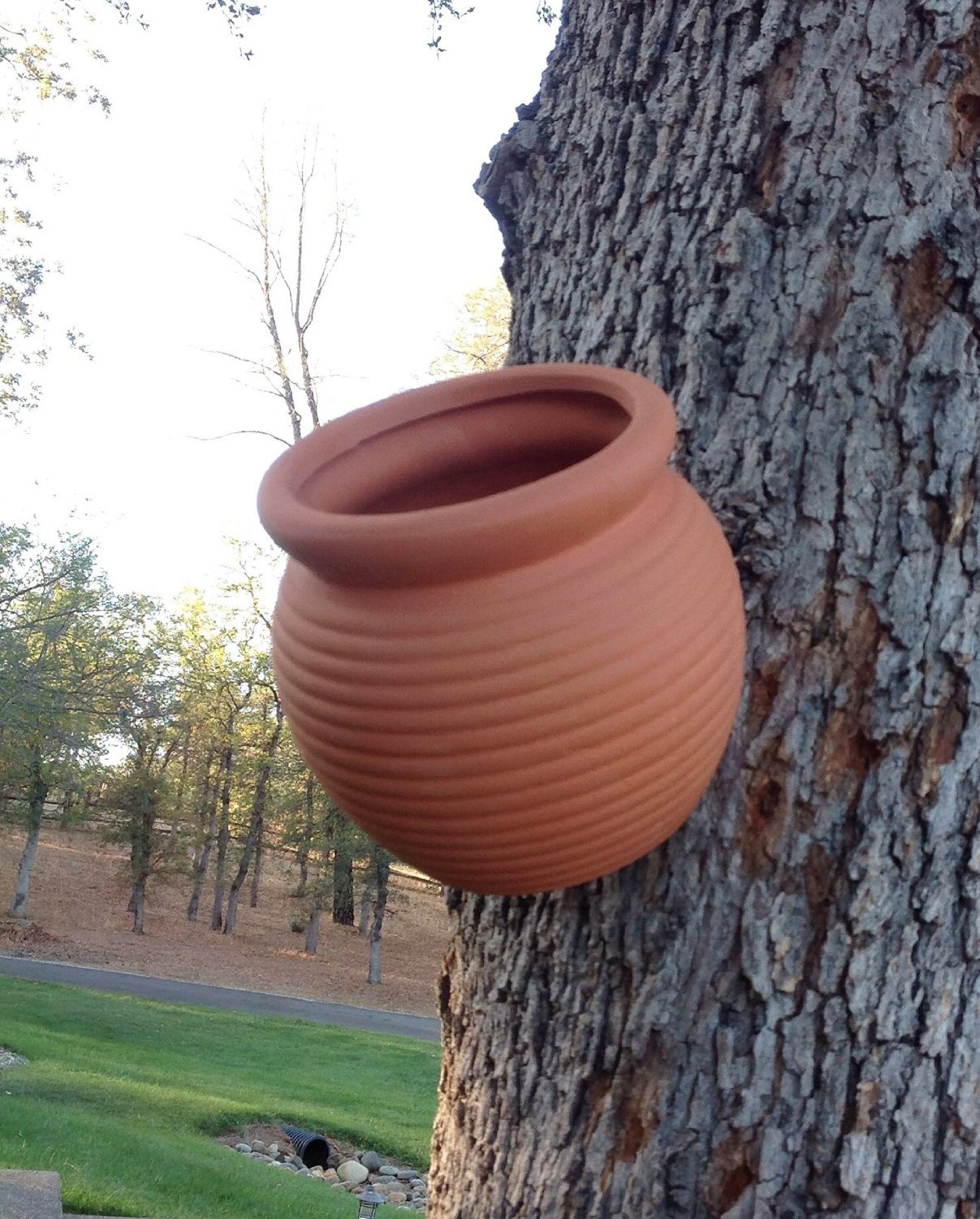 Natural 2-Piece Terra-Cotta Fallen Pot Set - Contemporary - Outdoor ...