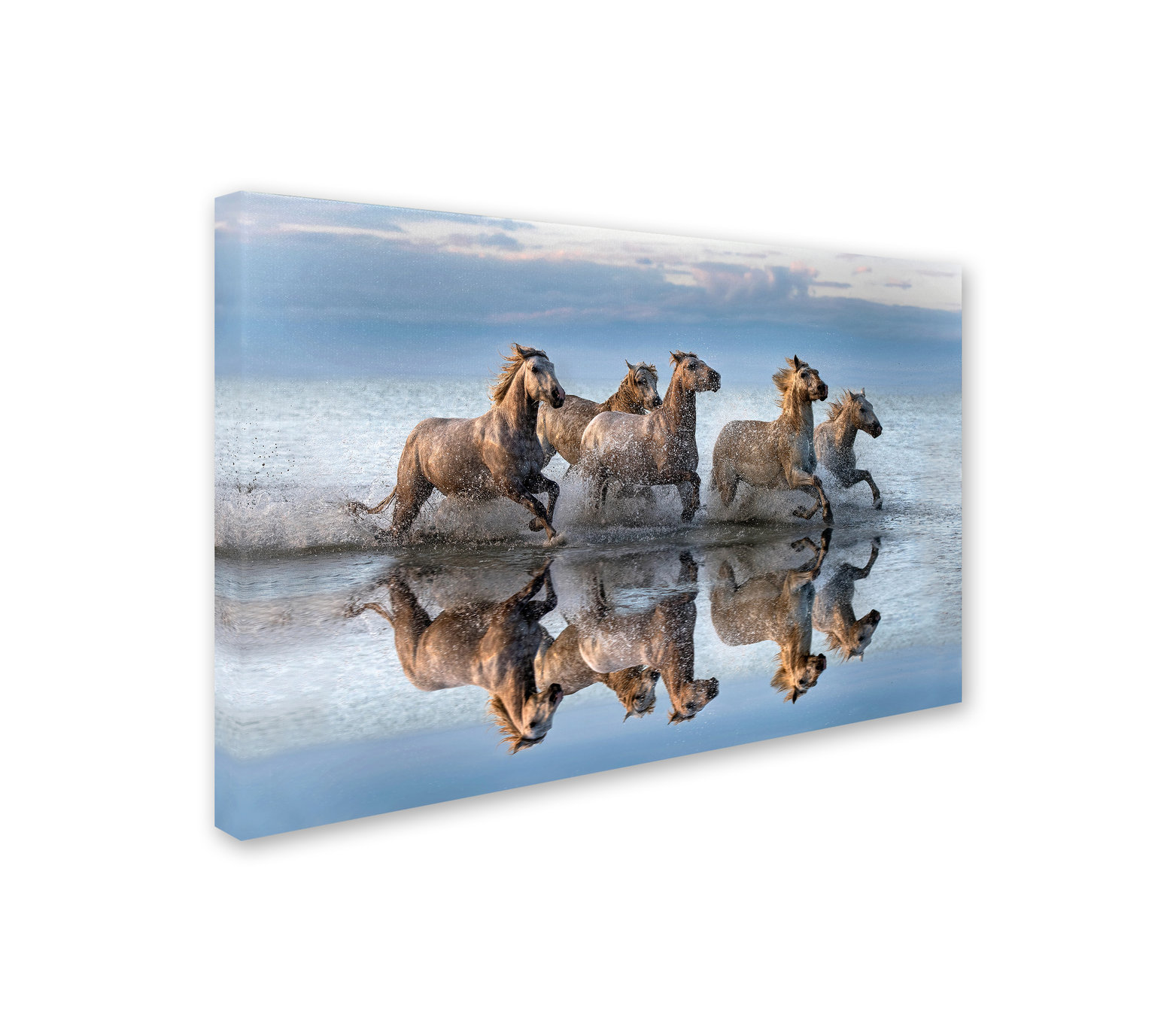 Xavier Ortega 'Horses And Reflection' Canvas Art, 24"x16 ...