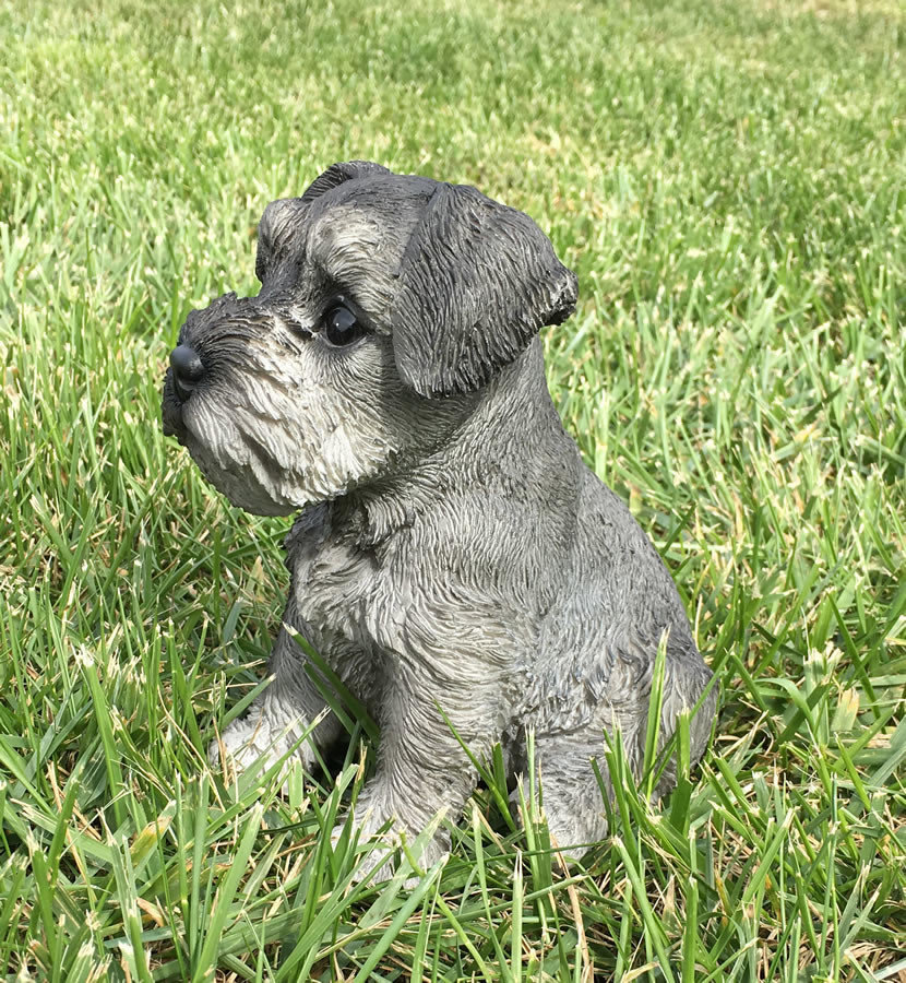 Realistic Miniature Schnauzer Puppy Garden Statue - Contemporary ...