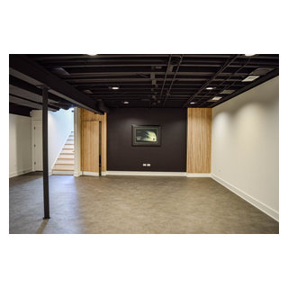 Modern Contemporary Basement - Modern - Basement - Chicago - by DJK ...