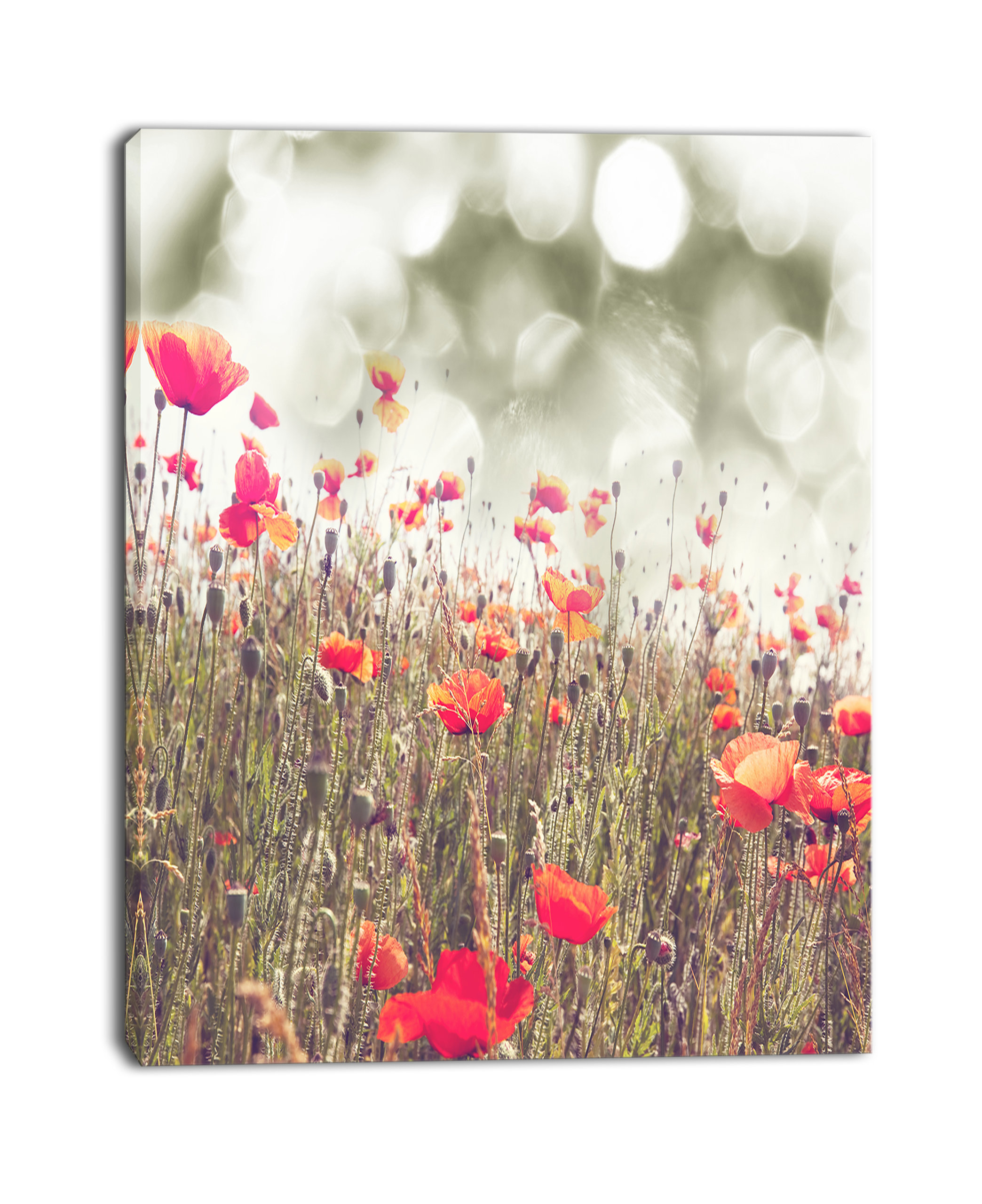 Red Poppy Flowers Meadow, Floral Canvas Art Print, 12"x20"x1 ...
