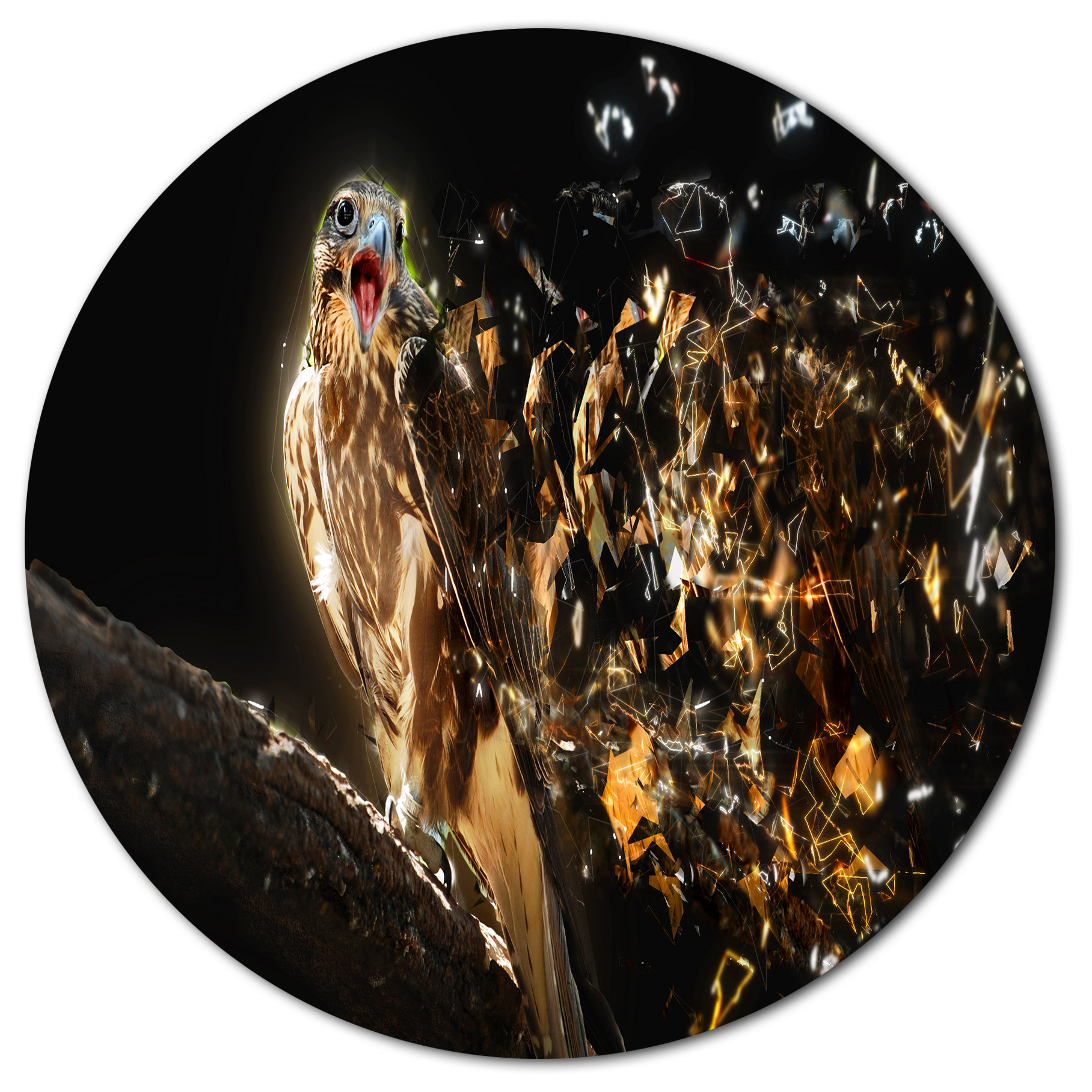 Falcon With Open Beak, Animal Disc Metal Artwork, Disc of 11 inch ...
