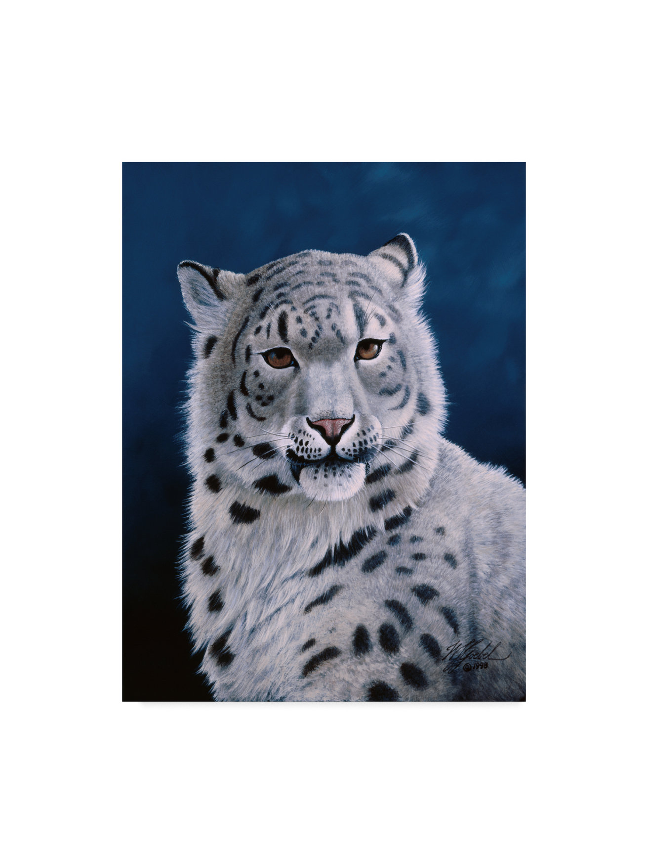 Wilhelm Goebel 'Young Snow Leopard' Canvas Art, 32"x24" - Contemporary ...