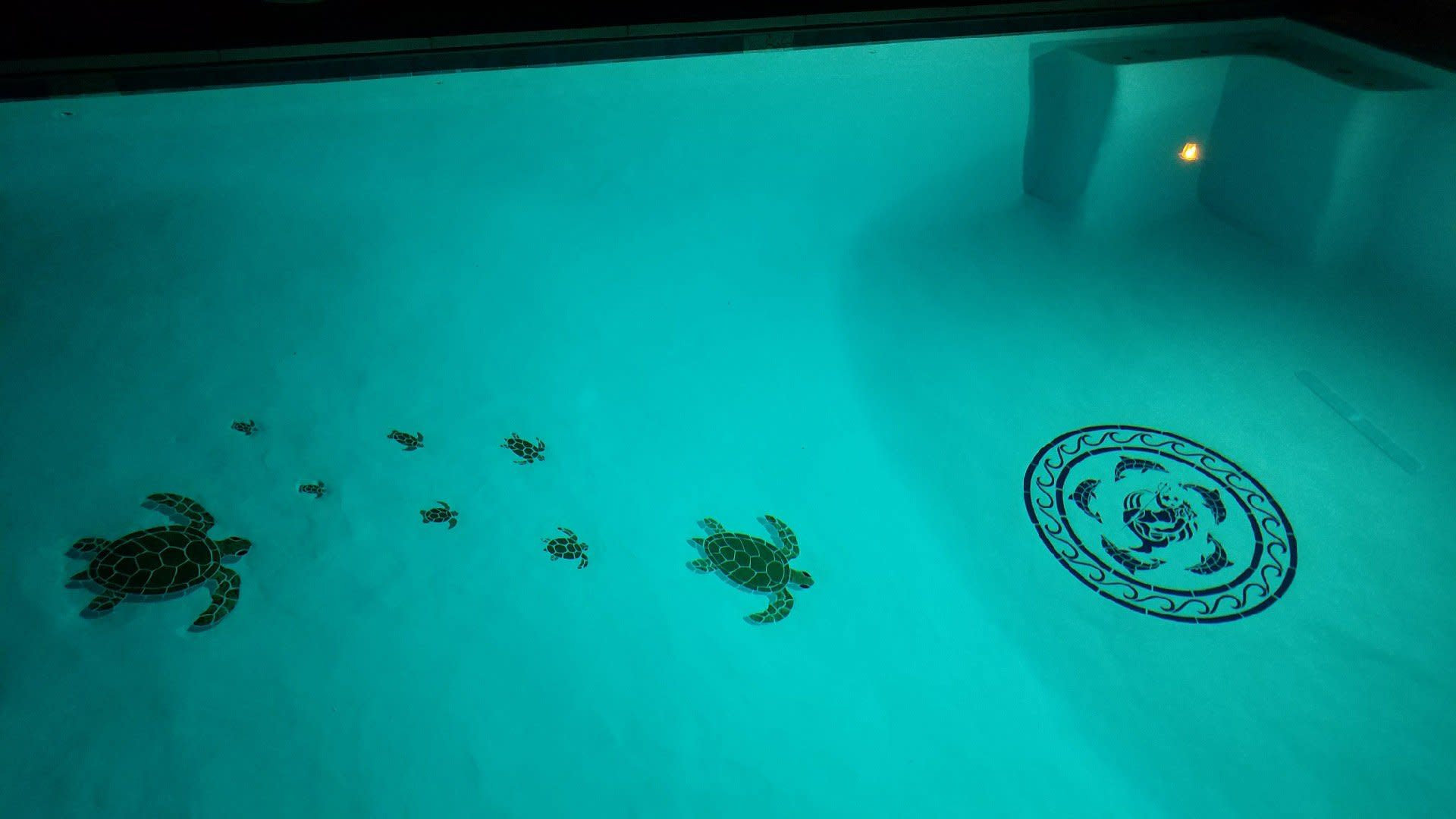 Dolphin & Neptune Medallion Ceramic Swimming Pool Mosaic, 48"x48 ...