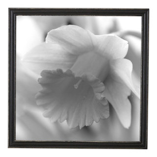 Sweet Simplicity Rustic Frame in Gray, 5X10 - Traditional - Picture ...
