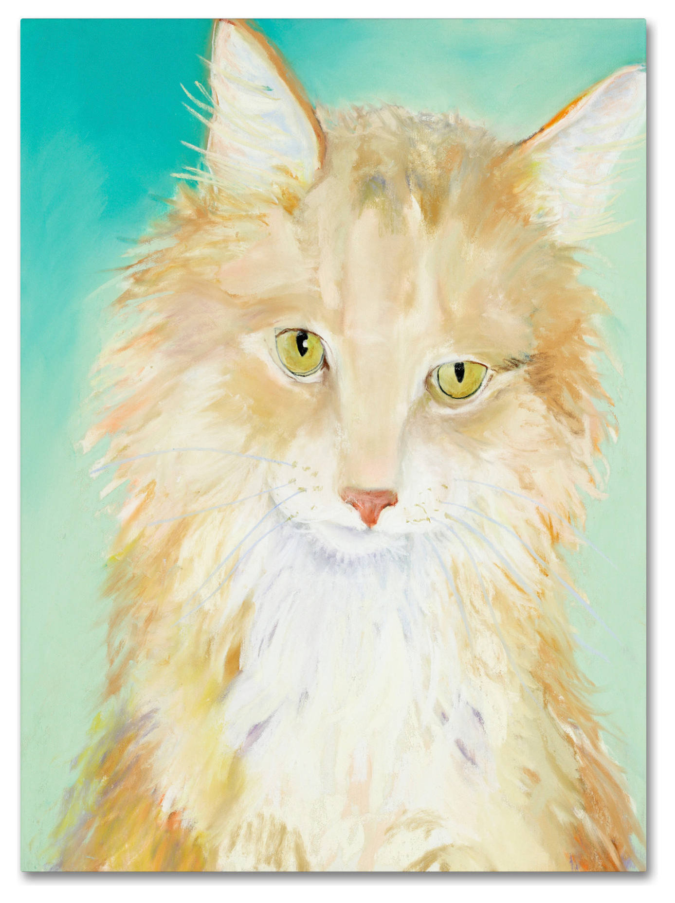 Pat Saunders-White 'Willard' Canvas Art, 18"x24" - Contemporary ...