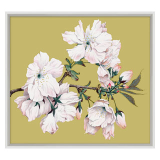 Goldenrod Blossom 1, Giclee Reproduction Artwork, 23x21 - Contemporary ...