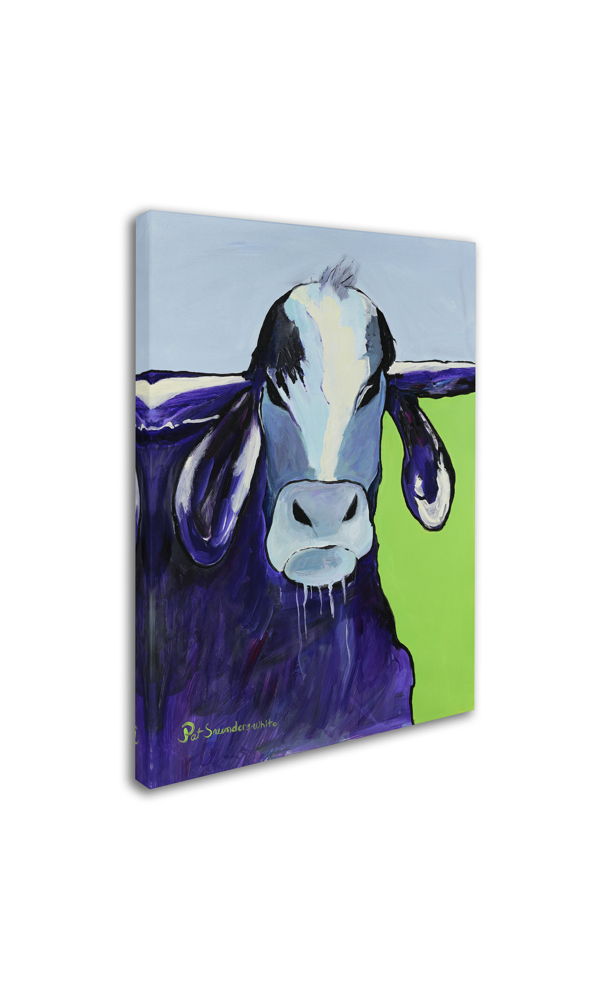 Pat Saunders-White 'Bull Drool' Canvas Art, 14"x19" - Contemporary ...
