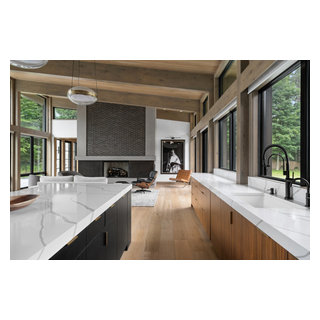 Contemporary Glass House - Kitchen - Grand Rapids - by Insignia Homes ...