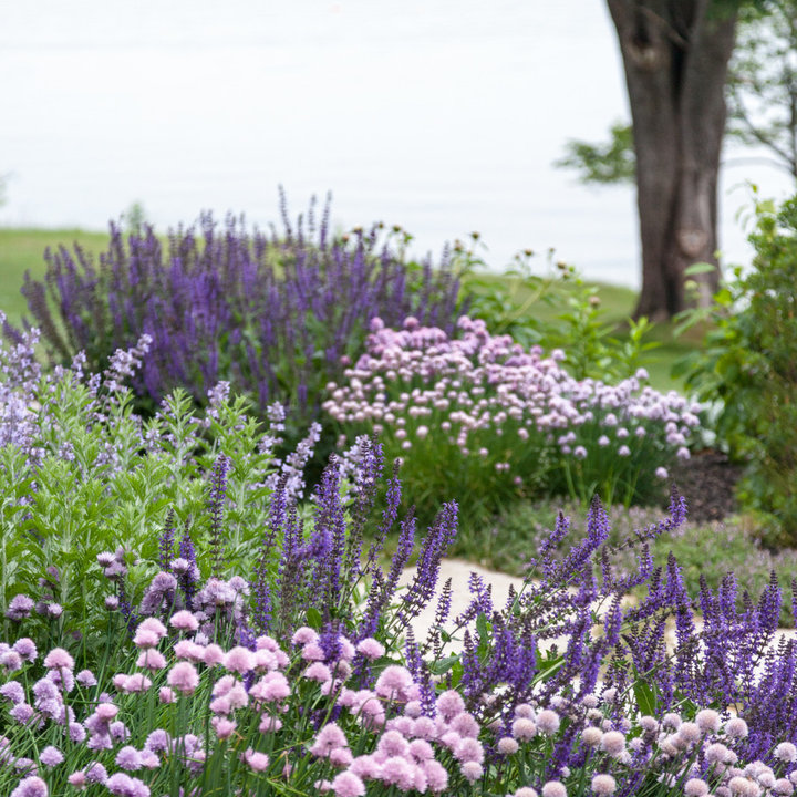 75 Beautiful Beach Style Garden Ideas & Designs - January 2026 | Houzz AU