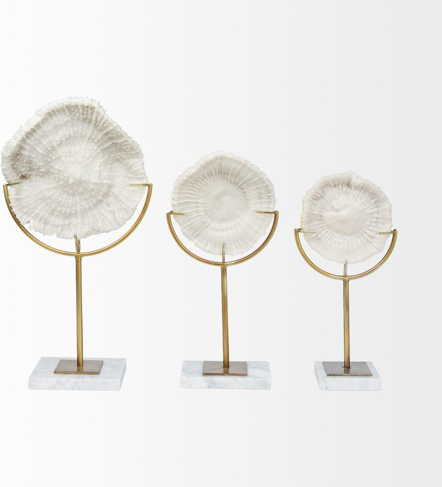 Sandy II, Medium 6"x3" White Coastal Sand Dollar Object, Small - Beach ...