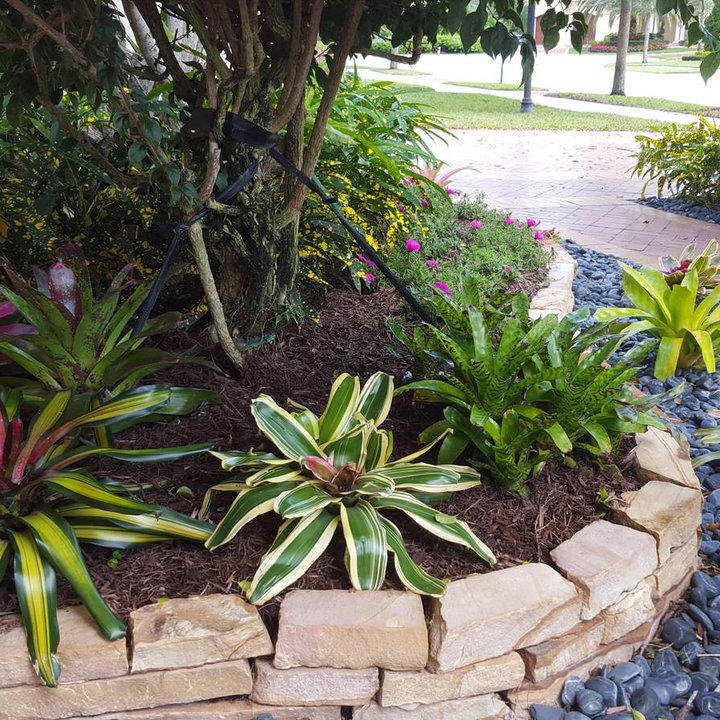 75 Beautiful Tropical Full Sun Garden Ideas & Designs - September 2025 ...