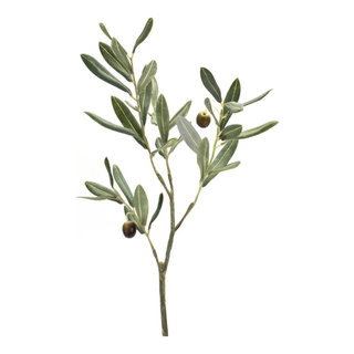 Olive Spray, Set of 6 - Traditional - Artificial Plants And Trees - by ...