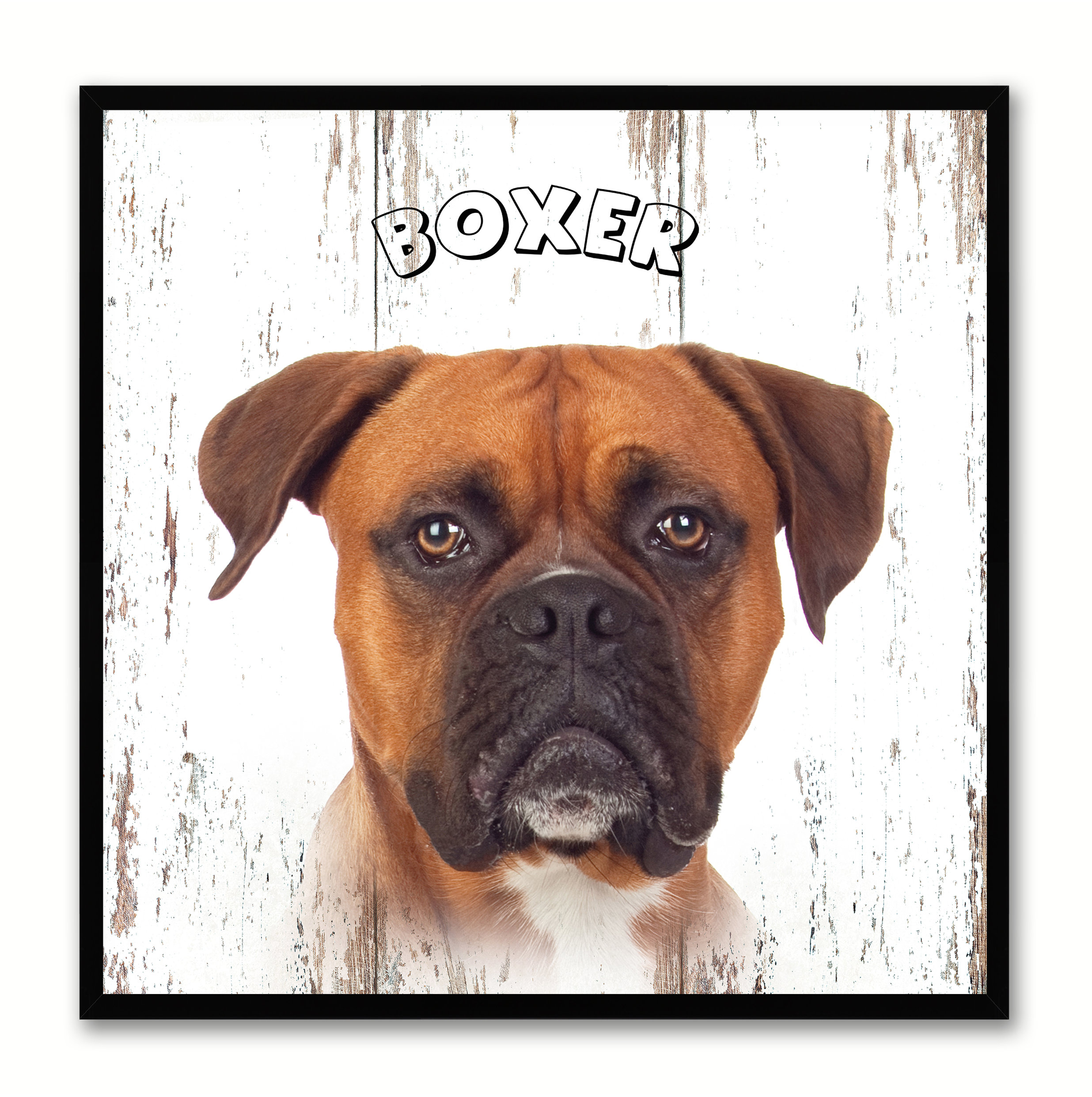 Boxer Dog Canvas Print, 7"x7", 15"x15" - Contemporary - Prints And ...