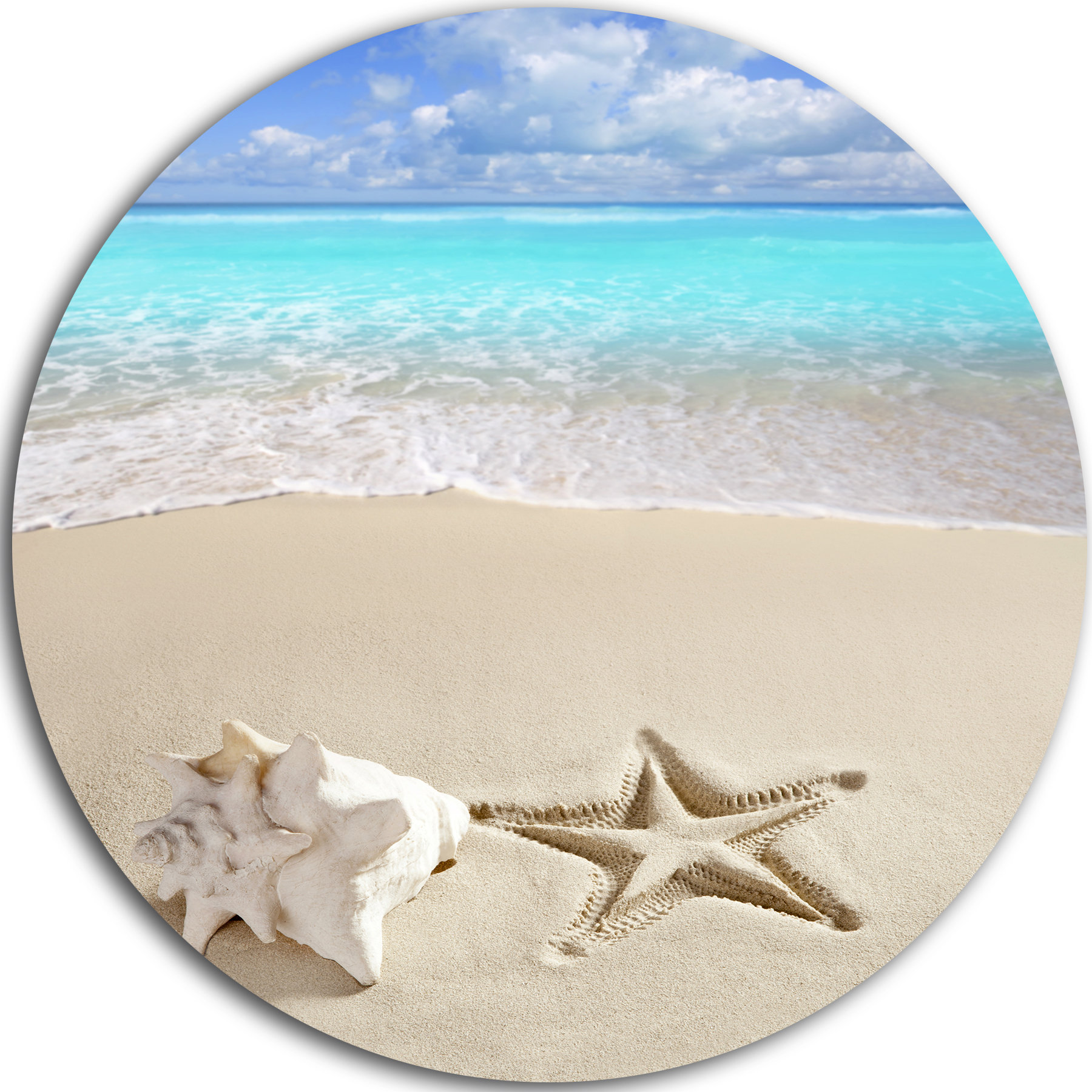Caribbean Beach Starfish, Beach Photography Disc Metal Wall Art, Disc ...