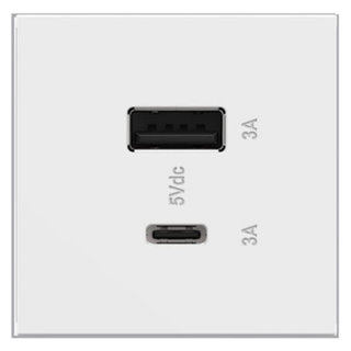 Legrand Adorne Full-Size Hybrid A/C USB Outlet ARUSB2AC6W4, White ...
