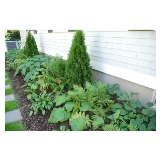 Ferns, Hosta and Arborvitae Garden - Traditional - Miami - by Sabrina ...