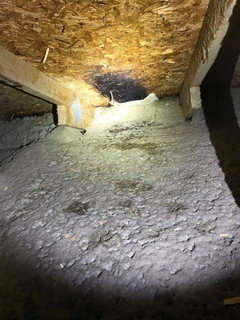 Rotten roof sheathing during winter