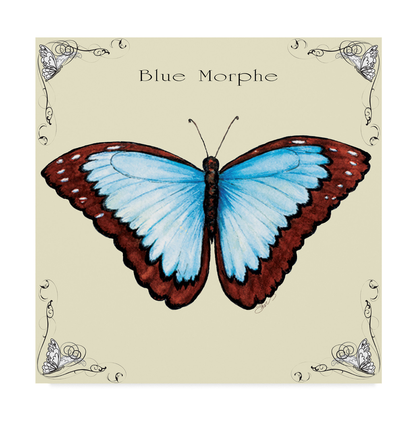 "Butterfly Blue Morphe" by Sher Sester, Canvas Art, 14"x14 ...
