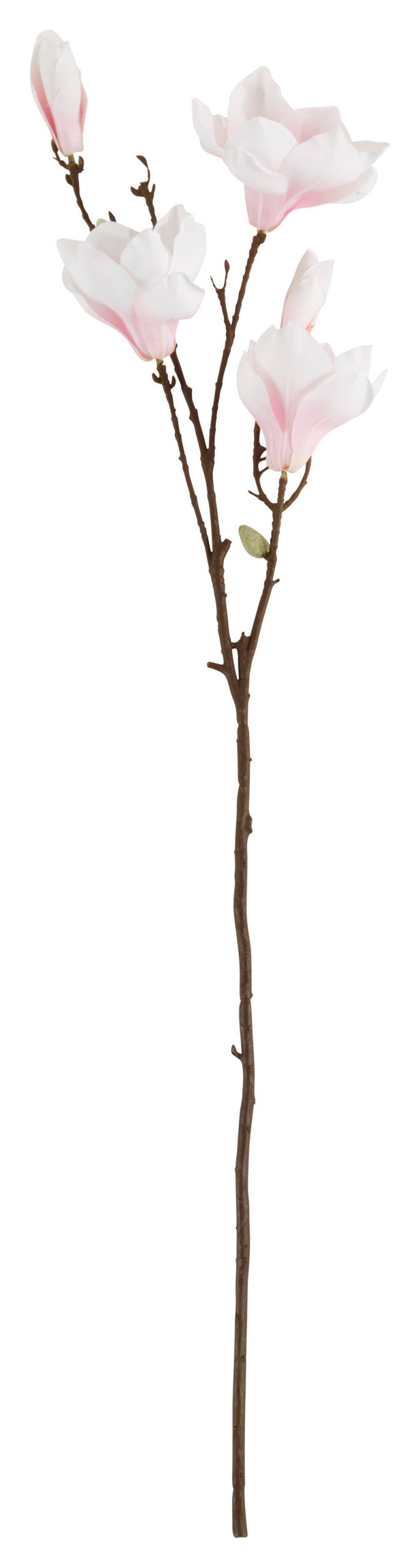 Magnolia Stem Floral Accent, Set of 12, 39", Pink, 39" - Modern ...