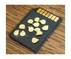 Akabare/Dalle Khorsani Peppers