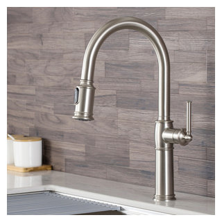 Sellette 2-Function Pull-Down 1-Handle 1-Hole Kitchen Faucet ...
